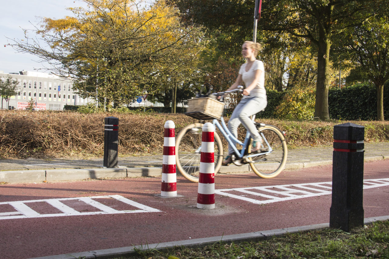 Weg met paaltjes op het fietspad - Fietsersbond