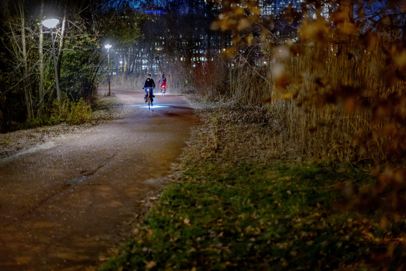 TestKees vergelijkt drie Bosch e-bike motoren - Fietsersbond
