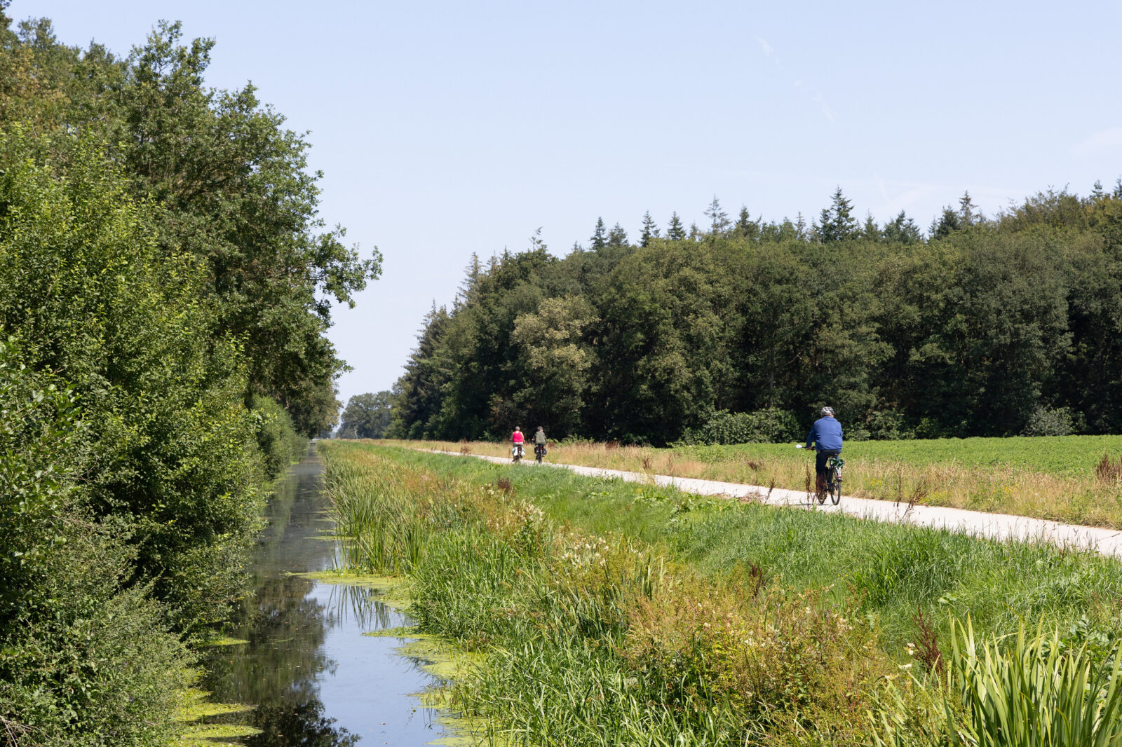 TestKees vergelijkt drie Bosch e-bike motoren - Fietsersbond